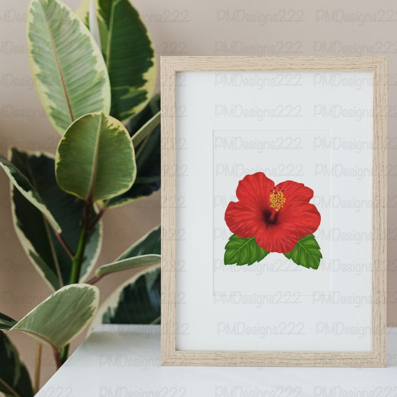 Red Hibiscus Flower Digital Printable, Hibiscus Flower Clipart, Red ...