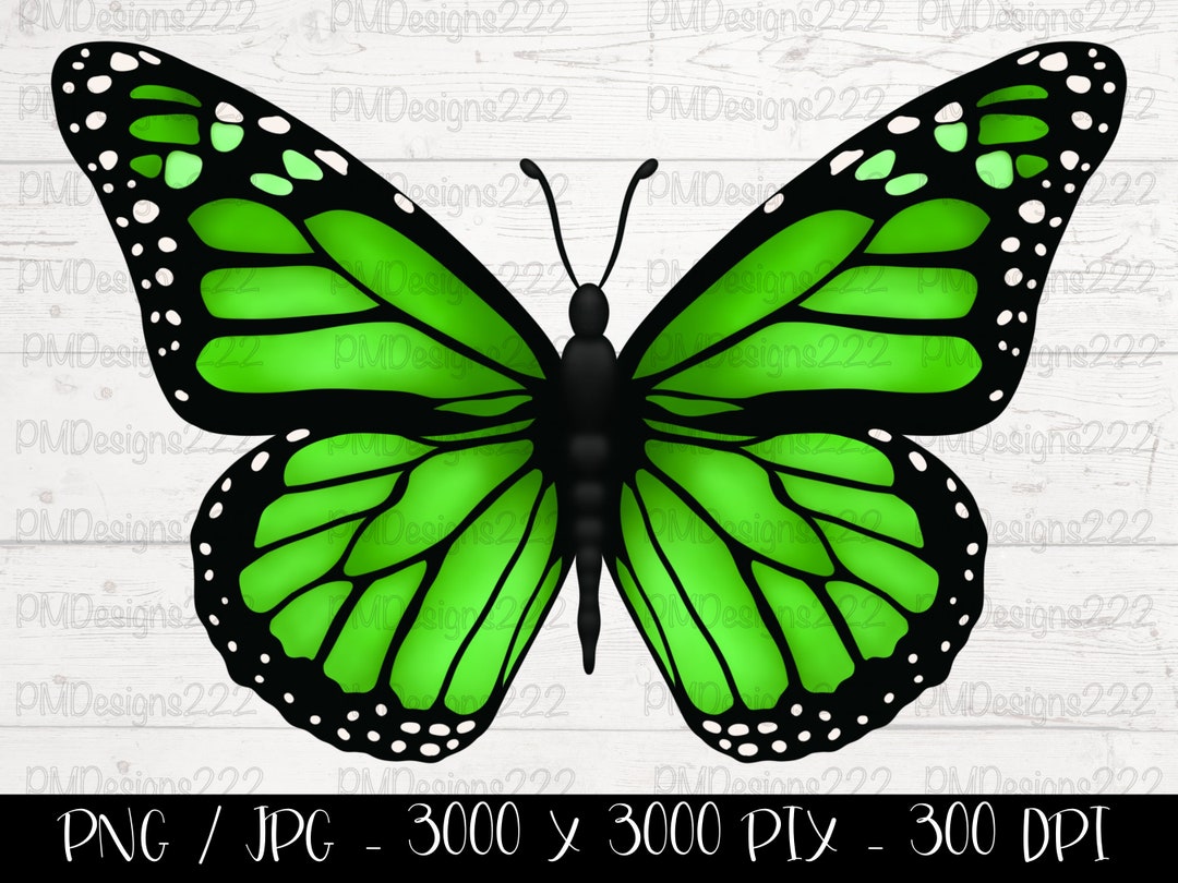 Green Butterfly Png, Butterfly Png, Butterfly Clip Art, Green Butterfly ...