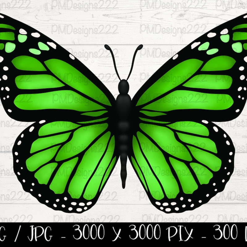 Green Butterfly - Etsy