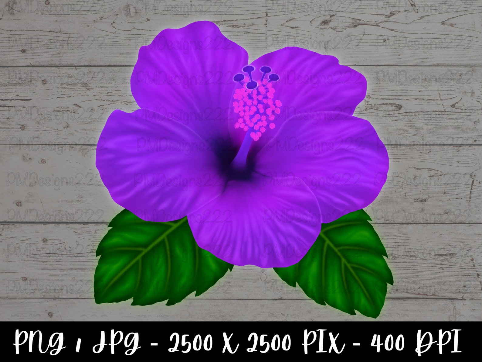 Purple Hibiscus Flower Digital Printable, Hibiscus Flower Clipart ...
