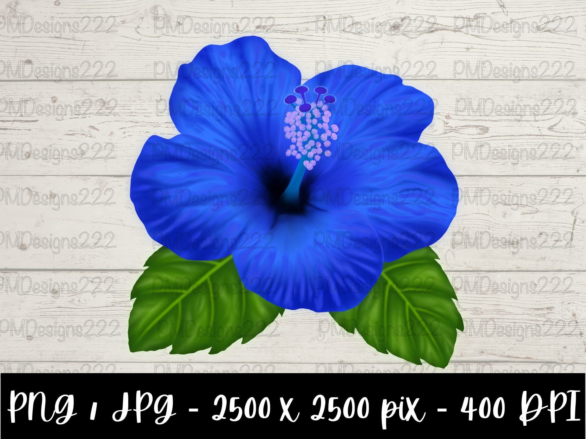Blue Hibiscus Flower Png