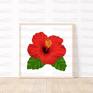 Red Hibiscus Flower Digital Printable, Hibiscus Flower Clipart, Red ...
