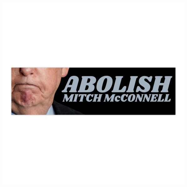 Activist Bumper Sticker - Etsy