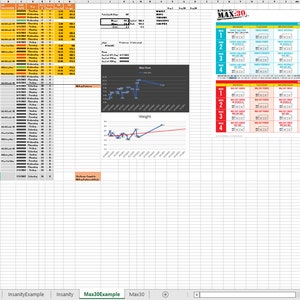 Insanity & MAX:30 Fitness Tracker Excel Spreadsheet - Etsy