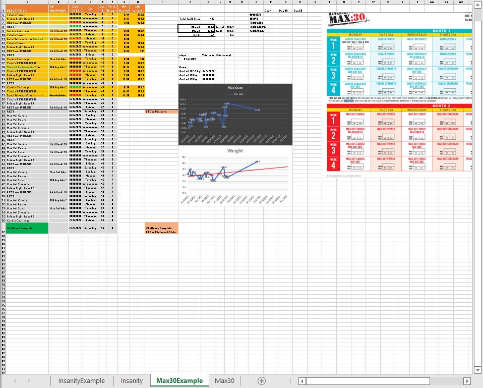 Insanity & MAX:30 Fitness Tracker Excel Spreadsheet - Etsy