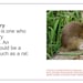 Ecology Study Guide and Large Visual Map of the Amazon Rain Forest ...