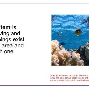 Ecology Study Guide and Large Visual Map of the Amazon Rain Forest ...