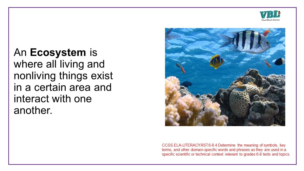 Ecology Study Guide and Large Visual Map of the Amazon Rain Forest ...