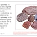 Rocks (roca) & Minerals Study Guide (english and Spanish) Visual Map of ...