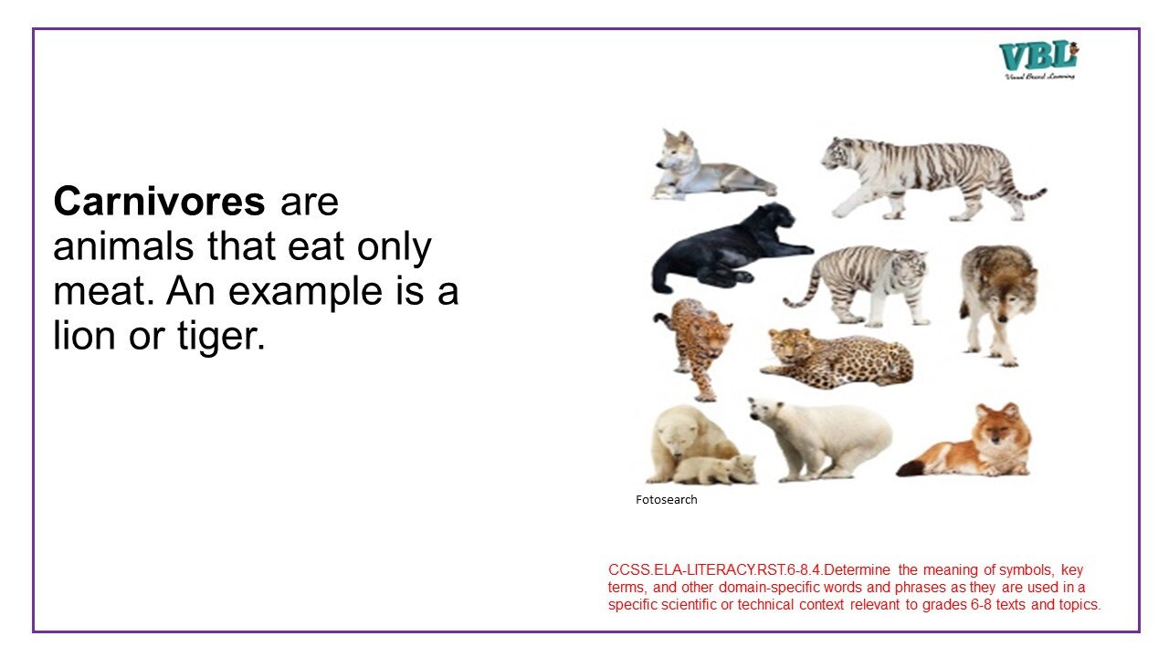 Ecology Study Guide and Large Visual Map of the Amazon Rain Forest ...