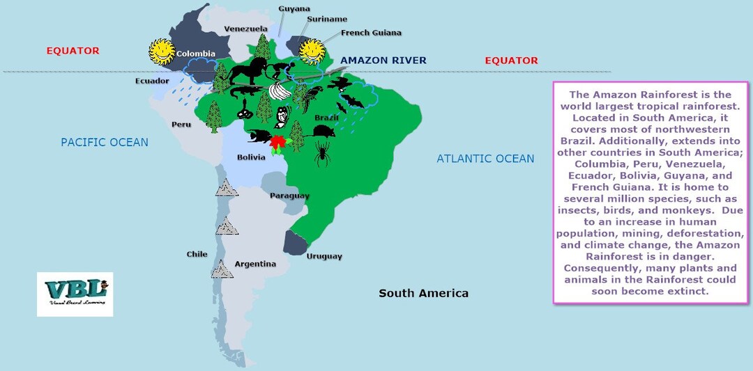 Ecology Study Guide and Large Visual Map of the Amazon Rain Forest ...