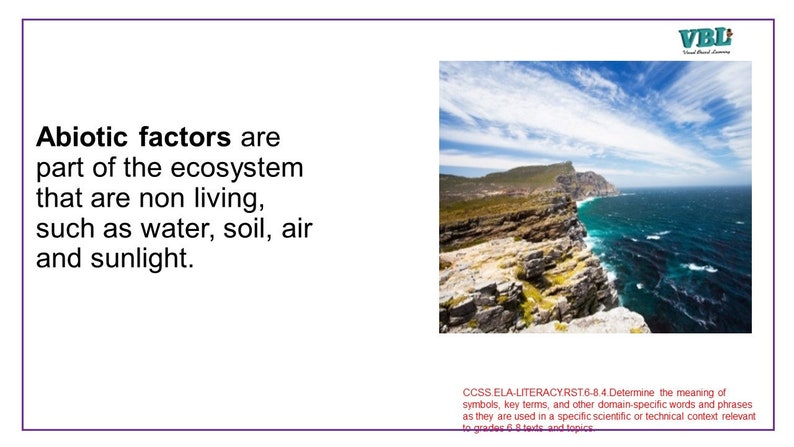 Ecology Study Guide and Large Visual Map of the Amazon Rain Forest ...