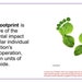 Ecology Study Guide and Large Visual Map of the Amazon Rain Forest ...