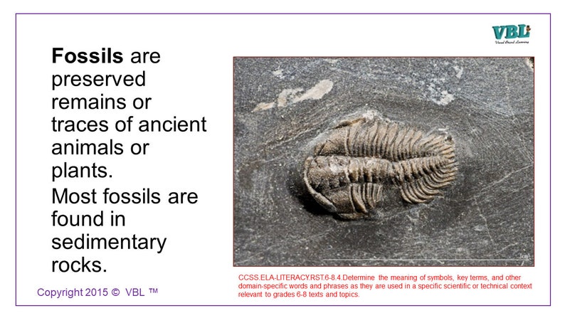 Rocks and Minerals Study Guide and Map (english) - Etsy