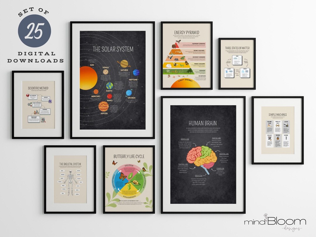 Educational Printable, Science Fundamentals Infographics Poster ...