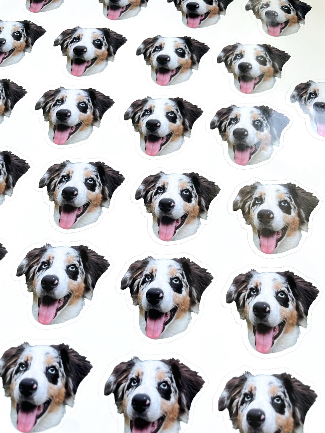 Custom Dog Decoration, Custom Dog Face Confetti, Personalized Dog Face ...