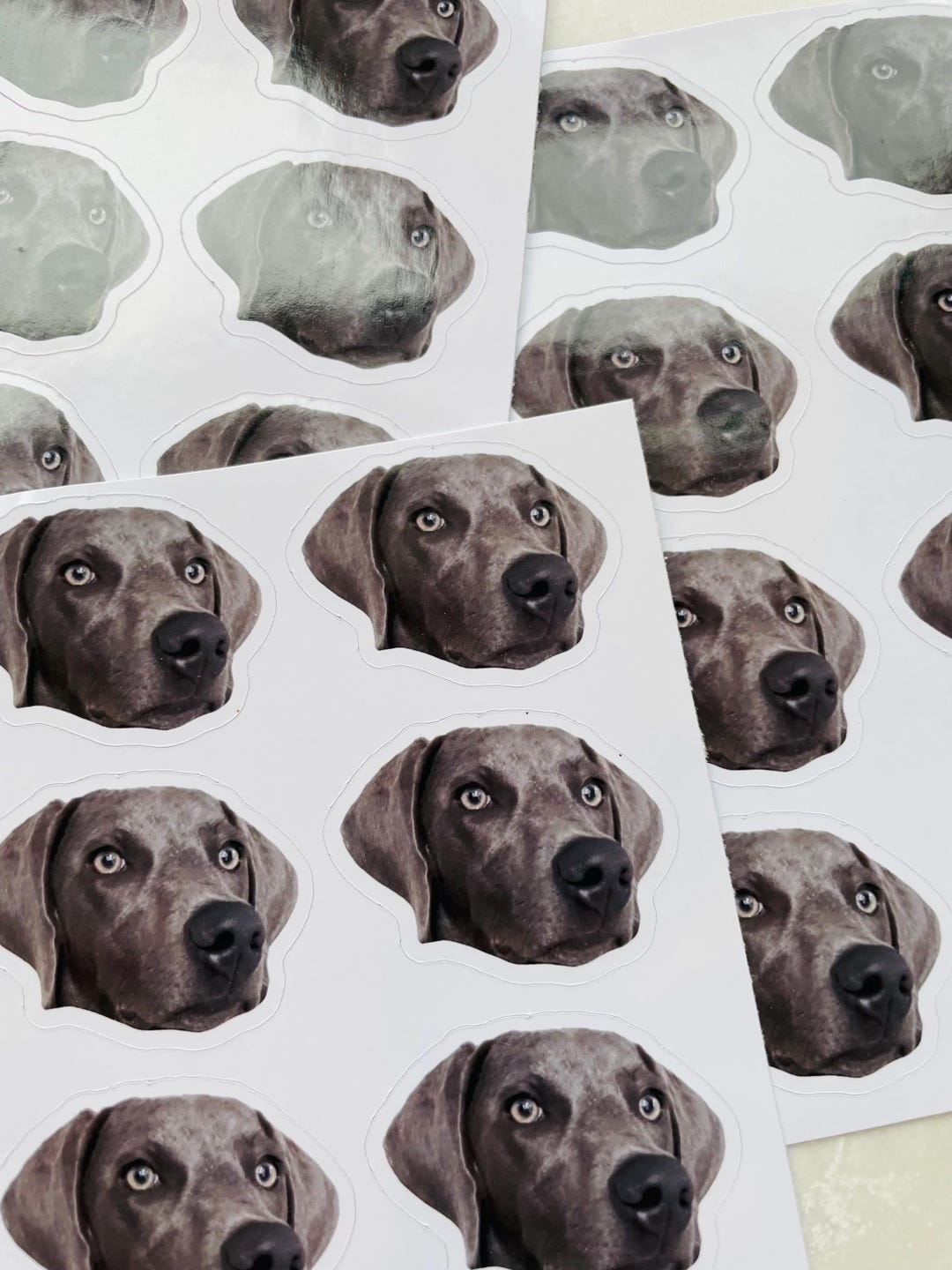 Printable Custom Pet Face Using Pet Photo, Digital Personalized Dog ...