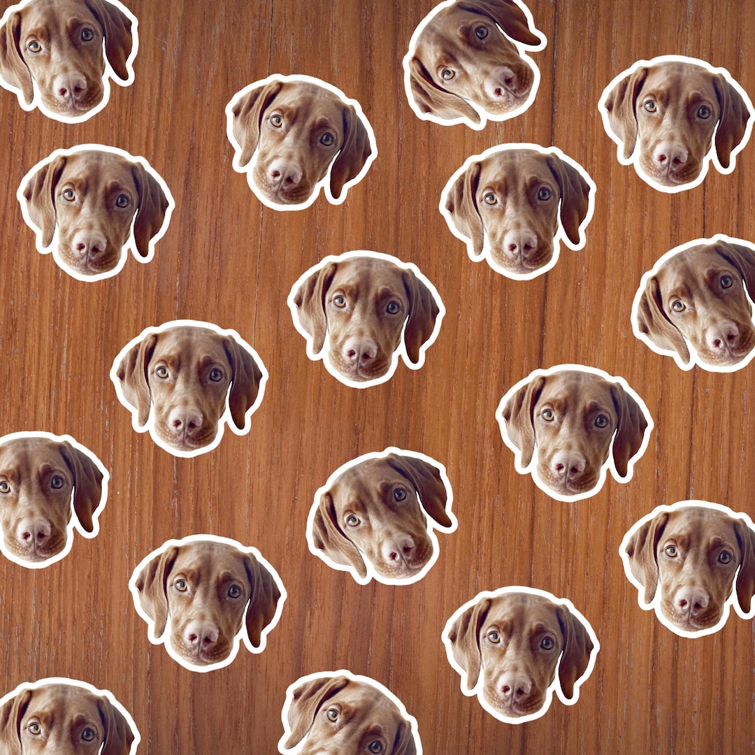 Custom Dog Face Sticker Using Pet Photo Personalized Dog Face Confetti ...