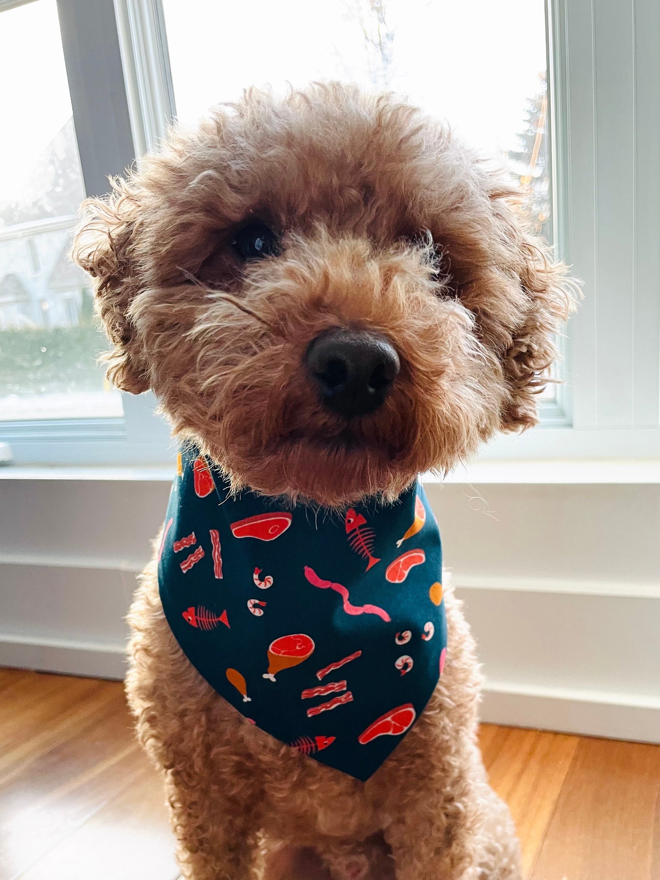 Dog Bandana Pattern, Tutorial Snap Closure Pet Bandana, PDF Scarf ...