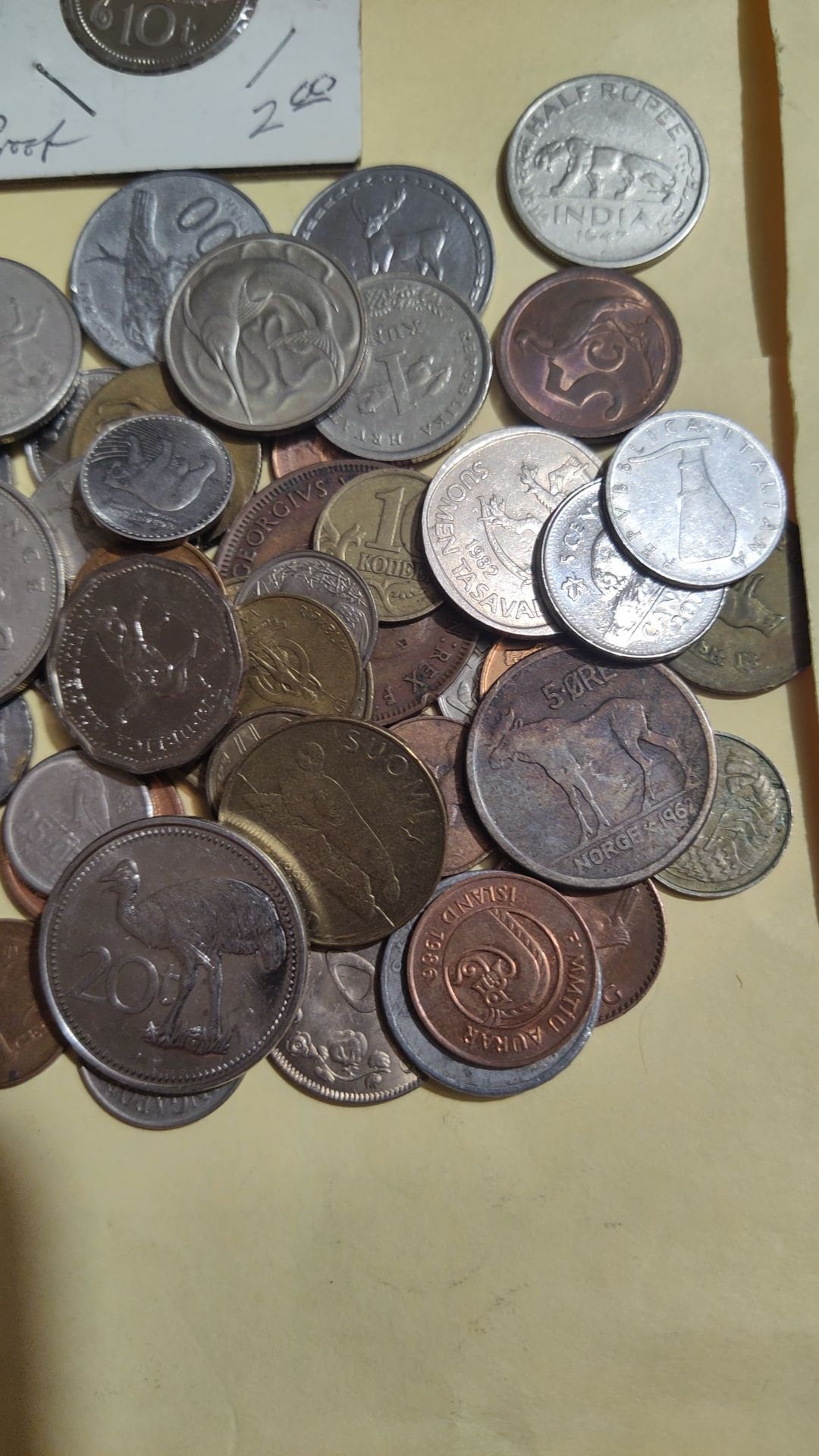 World Coins With Animals on Them: Fun Educational Starter Collection ...