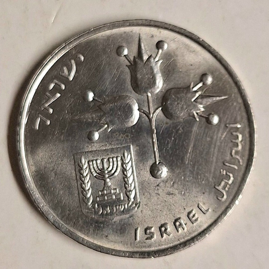 Israeli 1 Lira Coin in Very High Grade Condition - Etsy