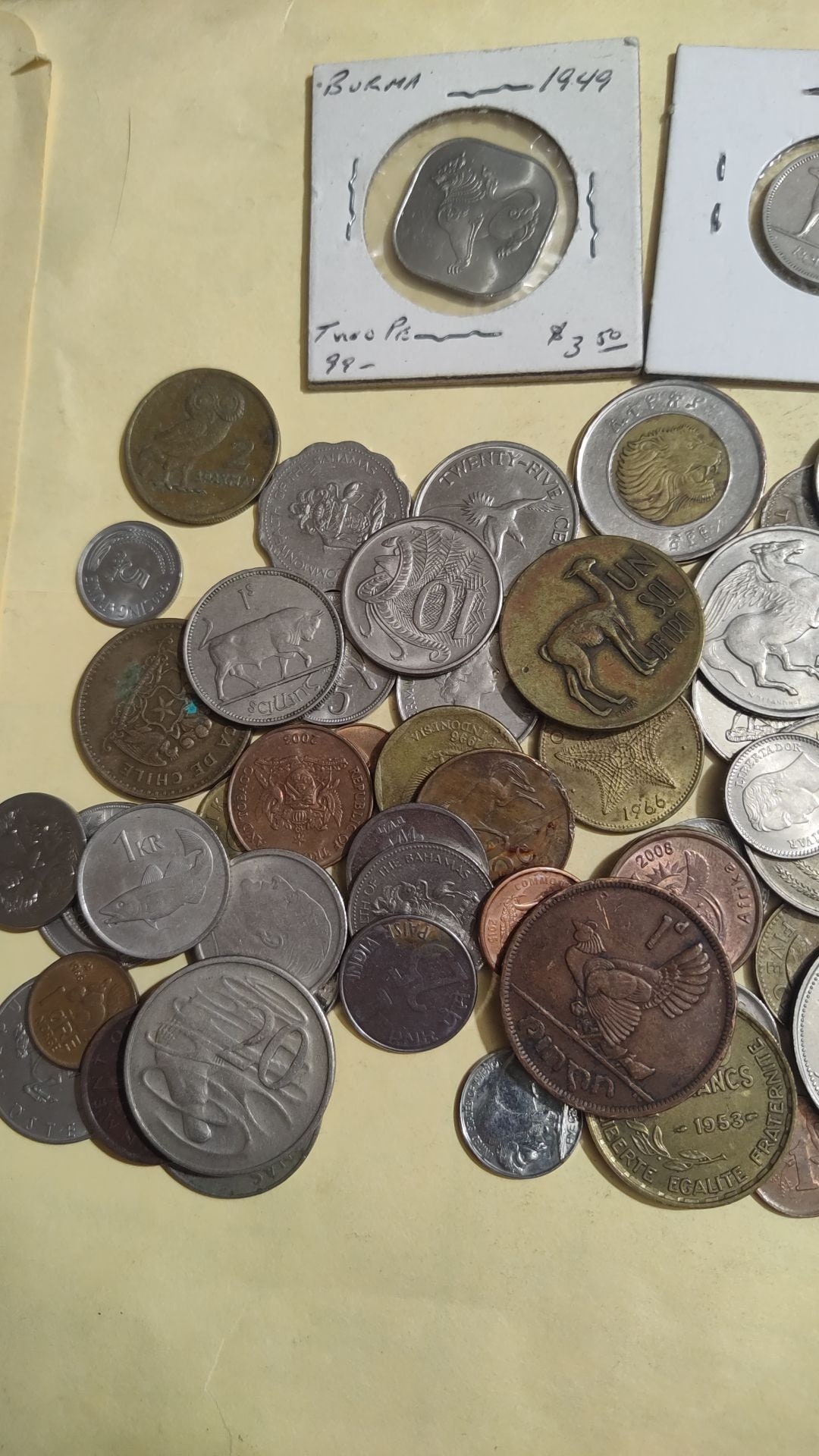 World Coins With Animals on Them: Fun Educational Starter Collection ...