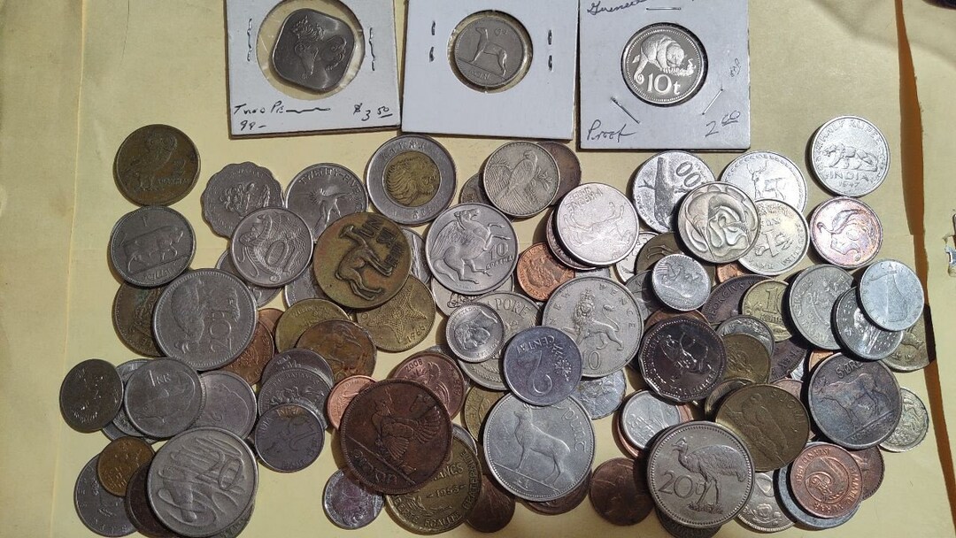 World Coins With Animals on Them: Fun Educational Starter Collection ...