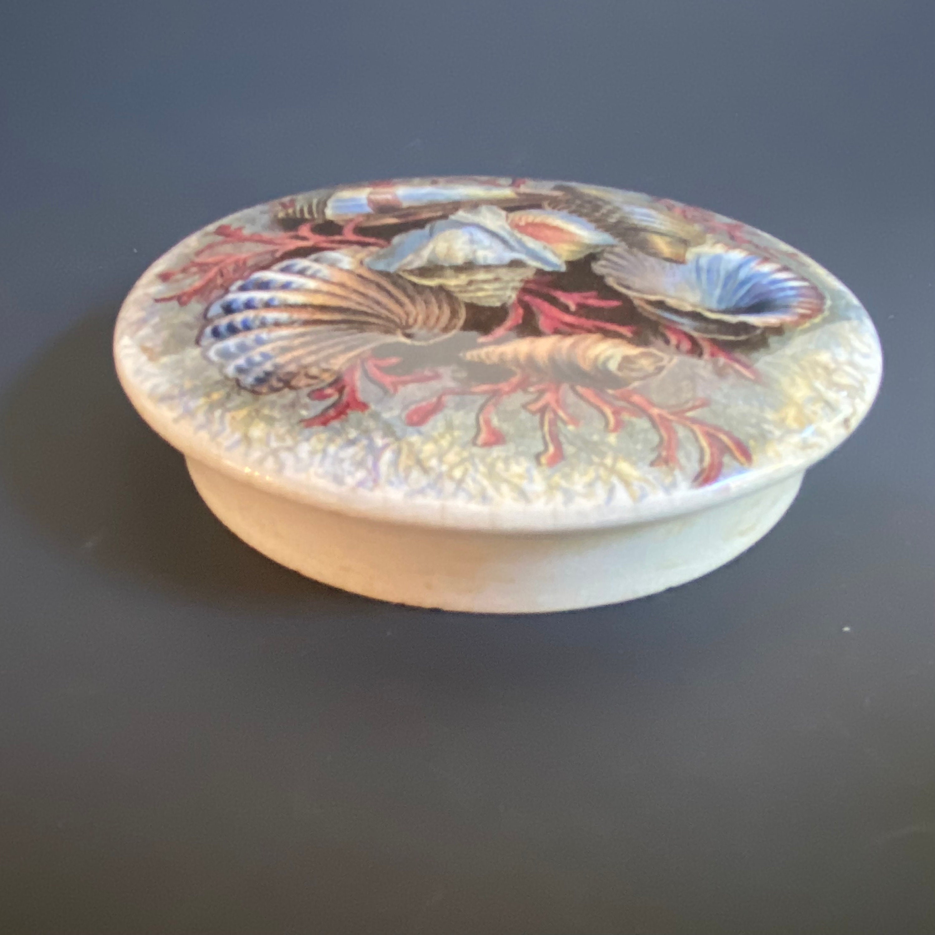 Antique English Shell Pot Lid Circa 1850 Prattware Potlid With Sea ...