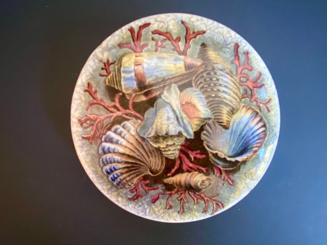 Antique English Shell Pot Lid Circa 1850 Prattware Potlid With Sea ...