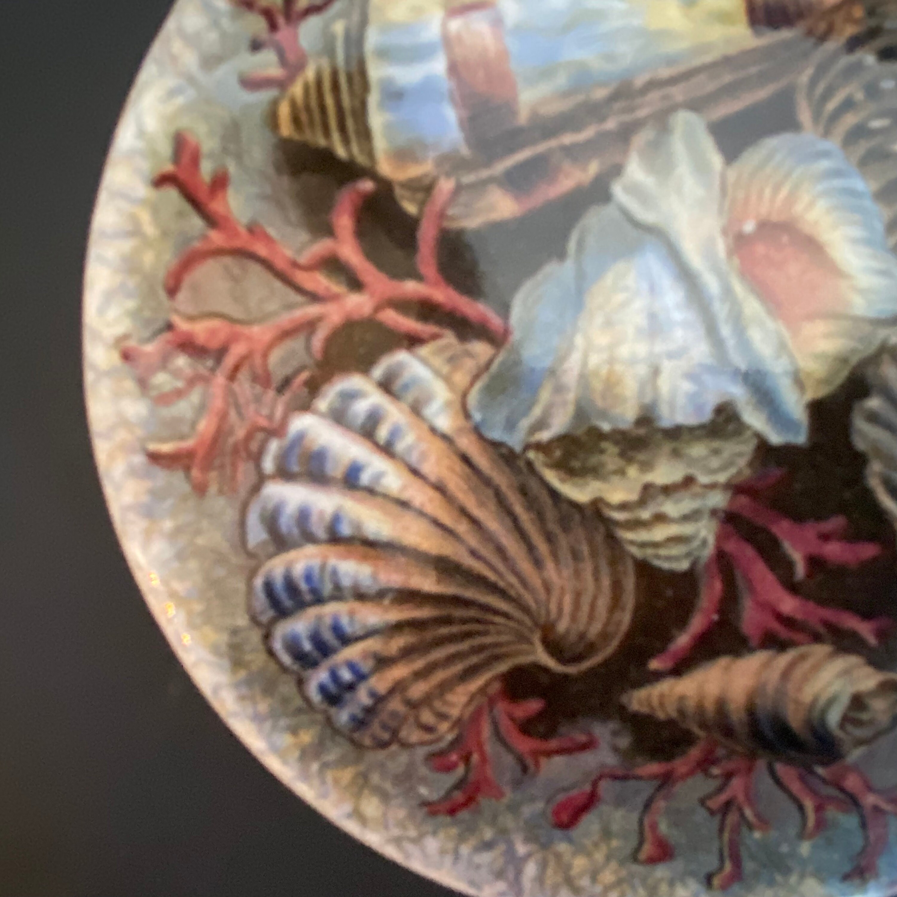 Antique English Shell Pot Lid Circa 1850 Prattware Potlid With Sea ...