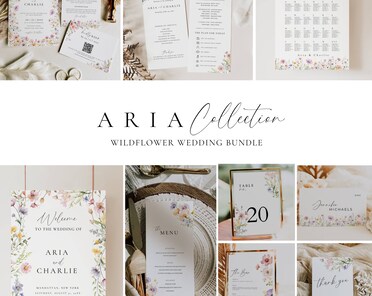 Nicole Rybeck Wedding