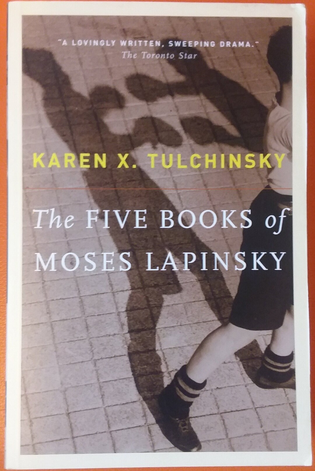 The Five Books of Moses Lapinsky by Karen X. Tulchinsky - Etsy