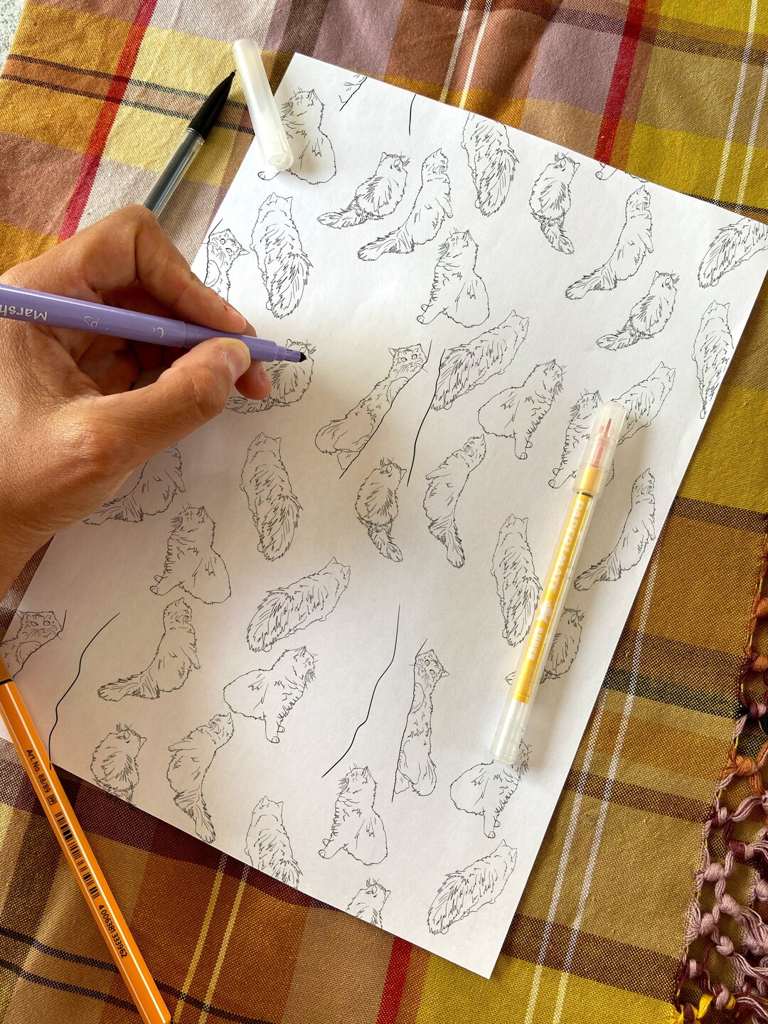 Manual Activity With Coloring Page for Children and Adults - Etsy Australia