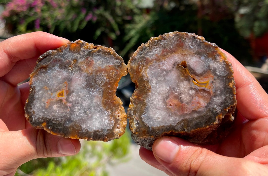 Turkish Gem Moss Thunder Egg Agate Cubuk Town, Susuz Village ROUGH CUT ...