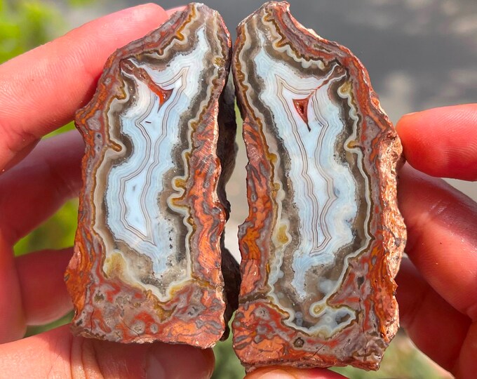 Turkish Gem Botryoidal Banded Tube Thunder Egg Agate Cubuk Town, Susuz ...