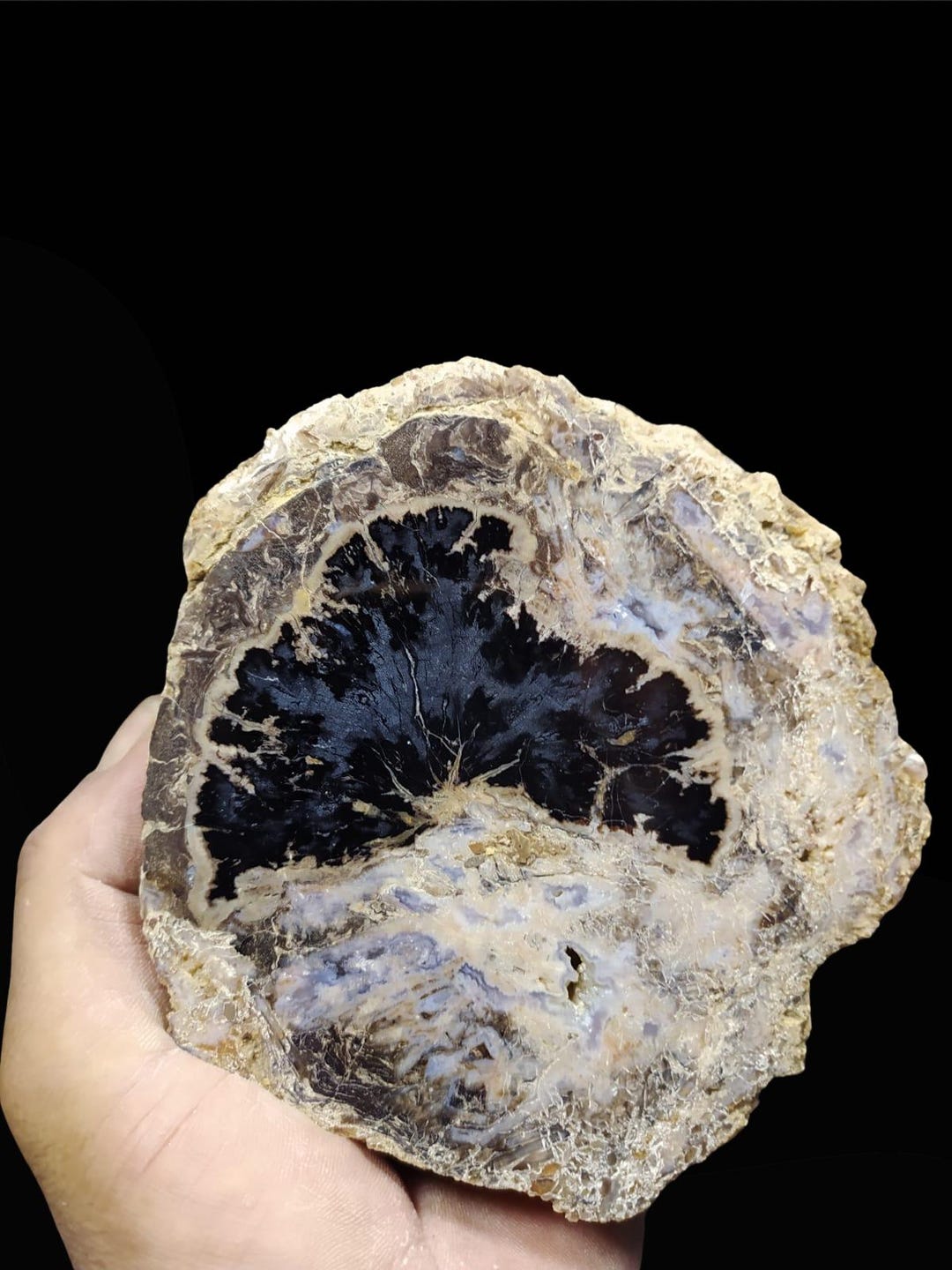 Limb Cast Jasper Slab Pair – Polished Agate Fossil From Ankara, Turkey ...