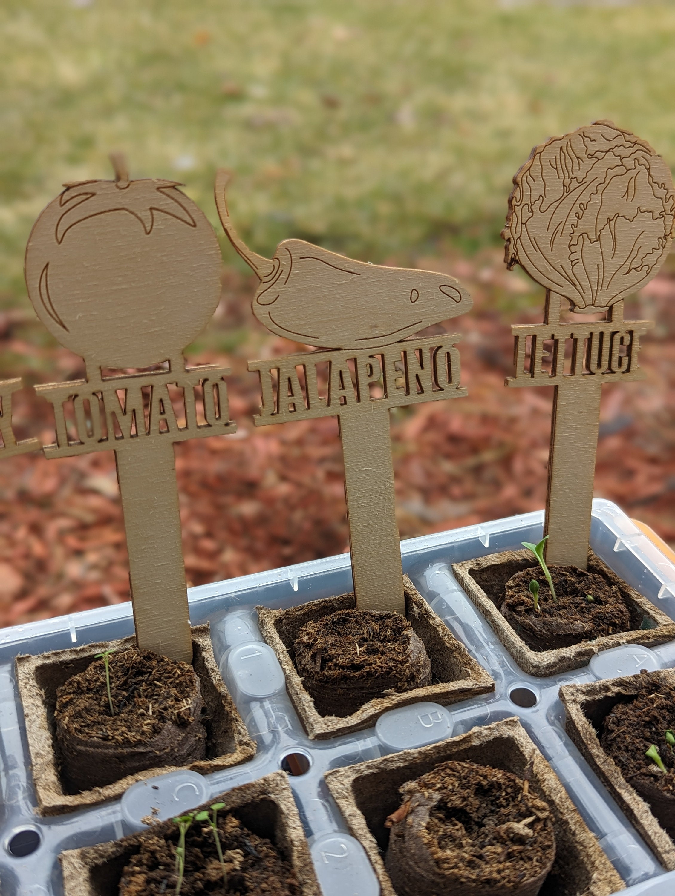 Garden Markers, Garden Stakes, Plant Vegetable Herb Stakes, Indoor ...