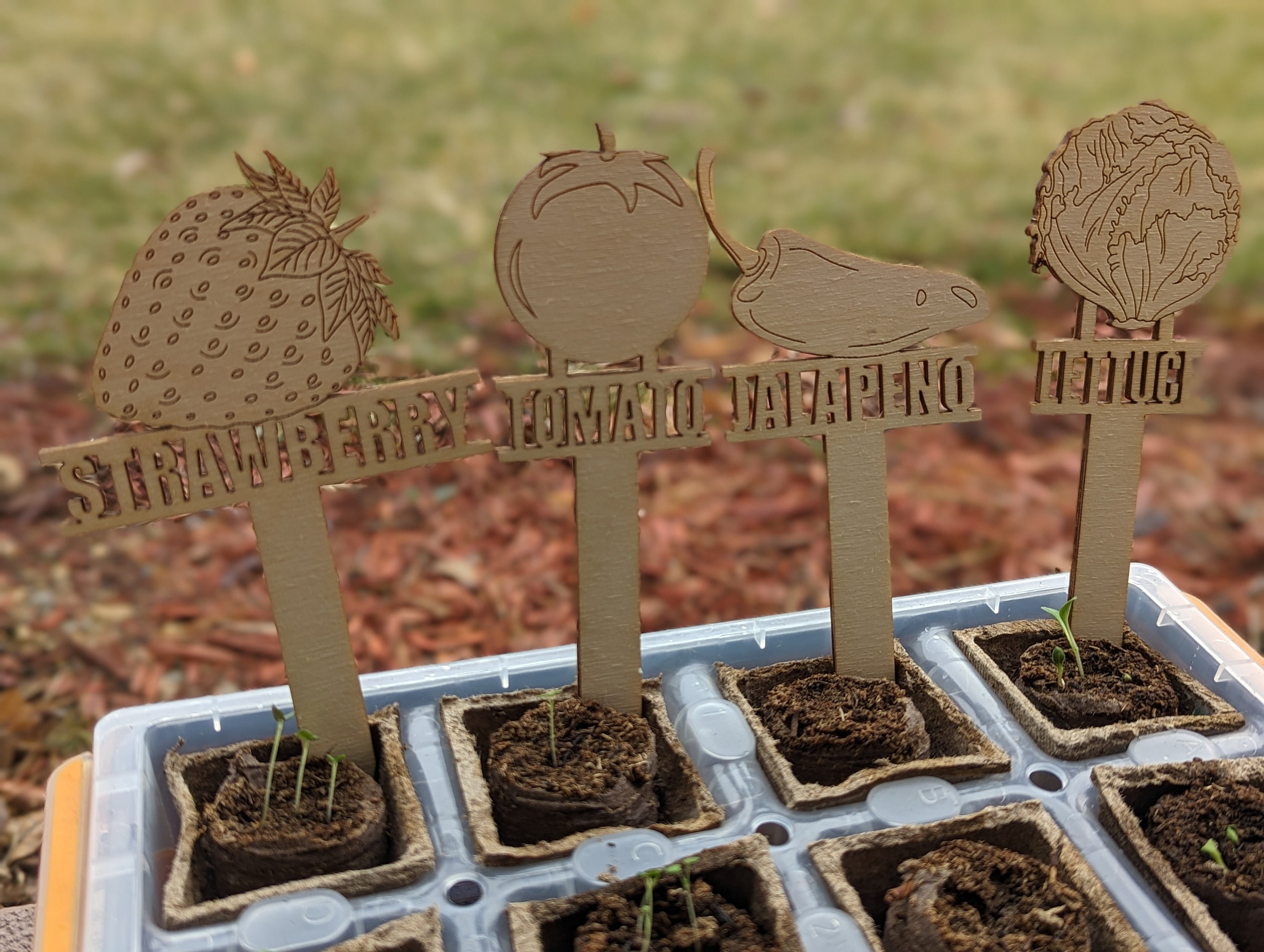 Garden Markers, Garden Stakes, Plant Vegetable Herb Stakes, Indoor ...