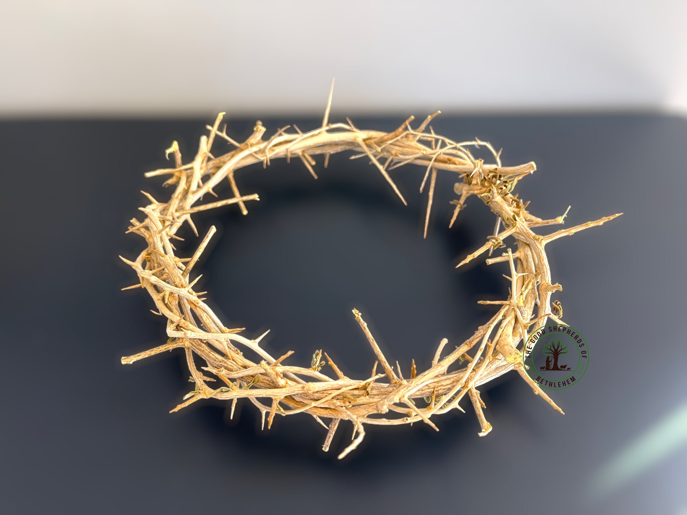 Crown of Thorns, Authentic Life Size 8 Crown of Thorns, Handmade in ...