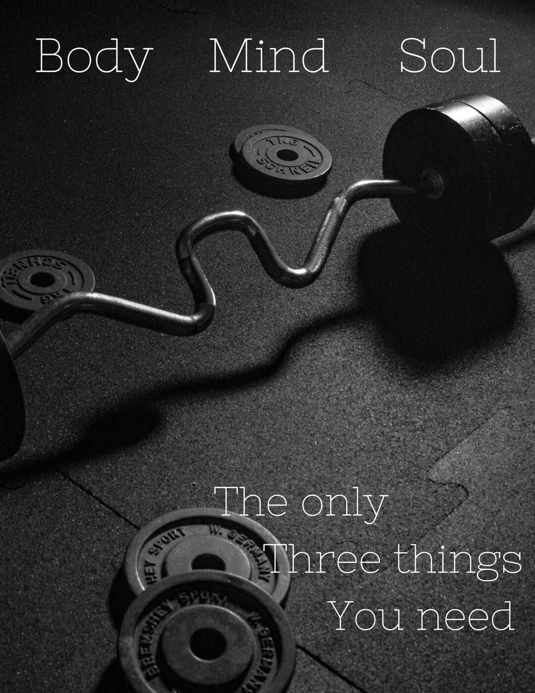 Motivational Work Out Poster, Gym Poster, Gym Motivation, Dumbells ...
