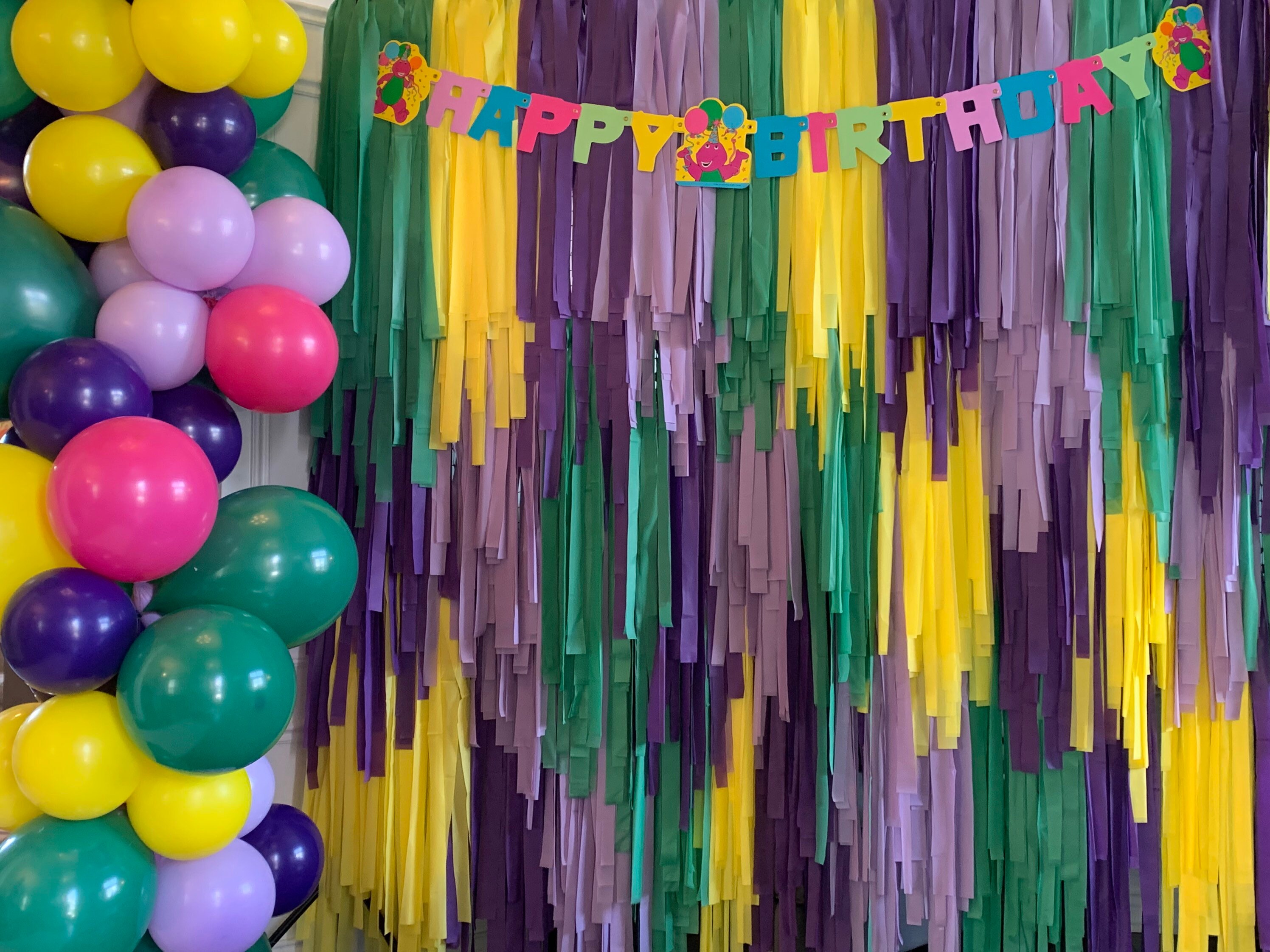 Fringe Party Backdrop - Etsy