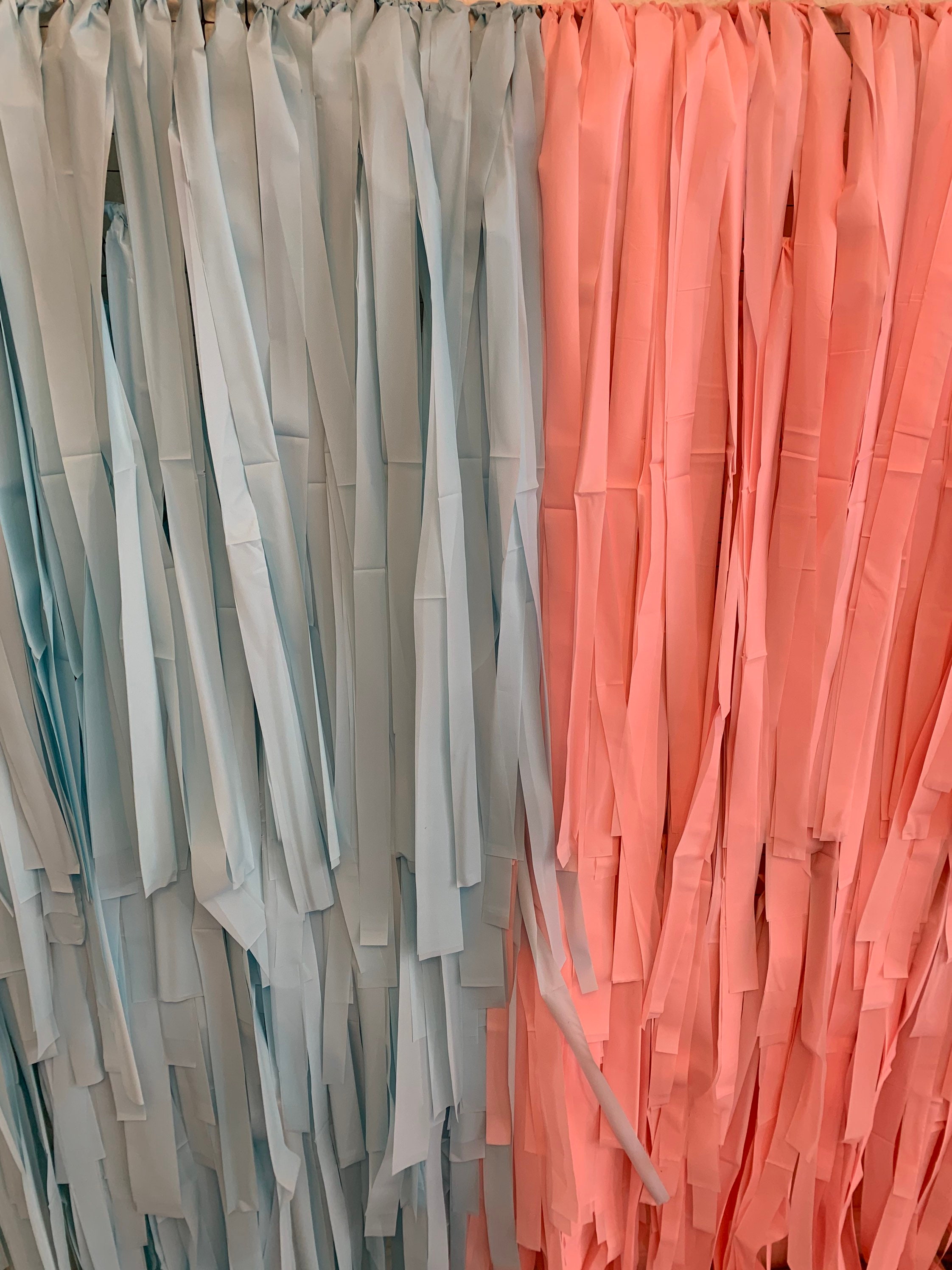 Fringe Gender Reveal Backdrop - Etsy