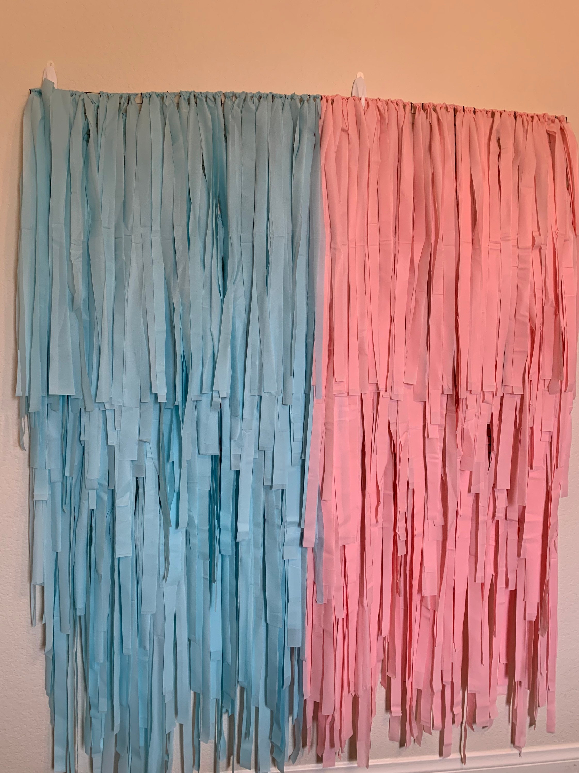 Fringe Gender Reveal Backdrop - Etsy