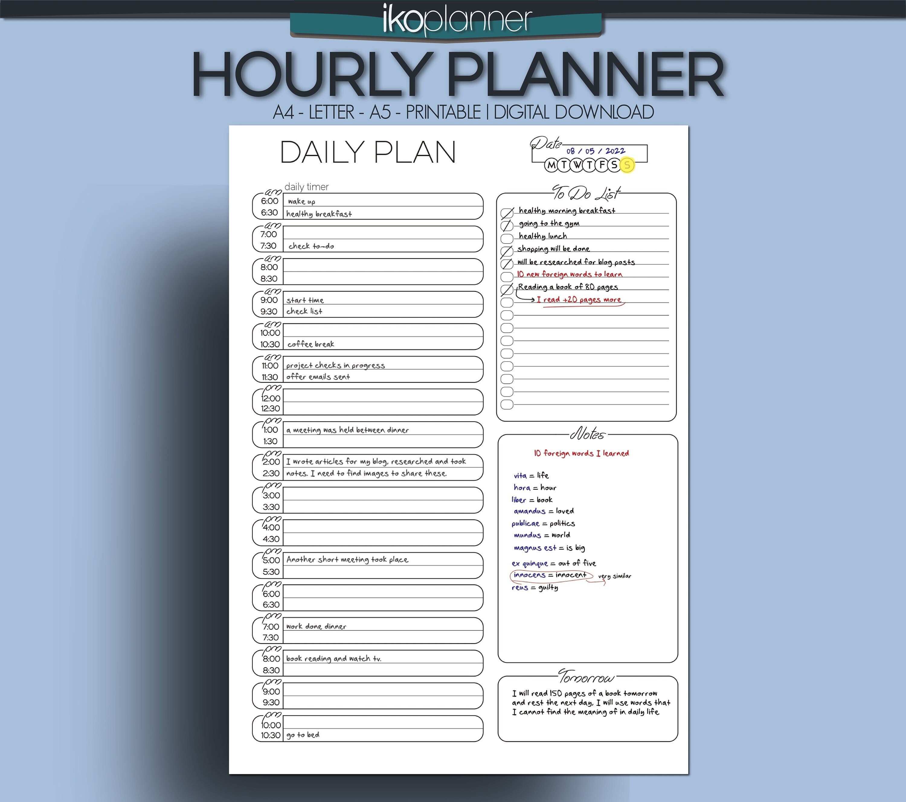 Hourly Daily Planner, Printable Planner, Daily Schedule, Minimal to Do ...