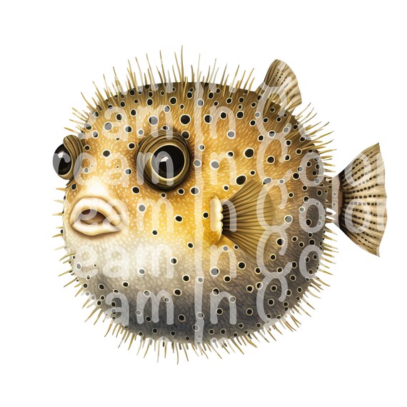 Puffer Fish Clip Art