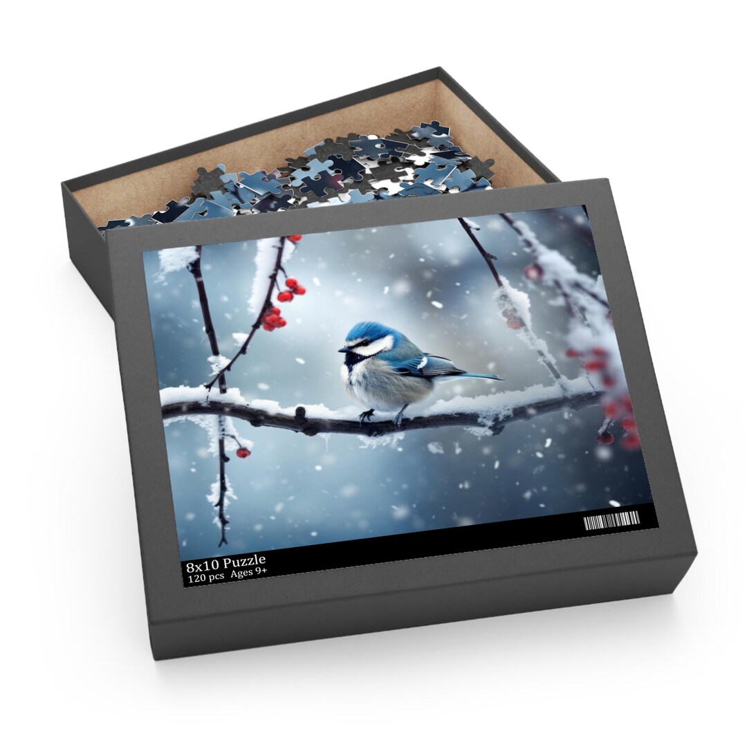 Blue Jay Bird Winter Snow Puzzle 120 500-piece - Etsy