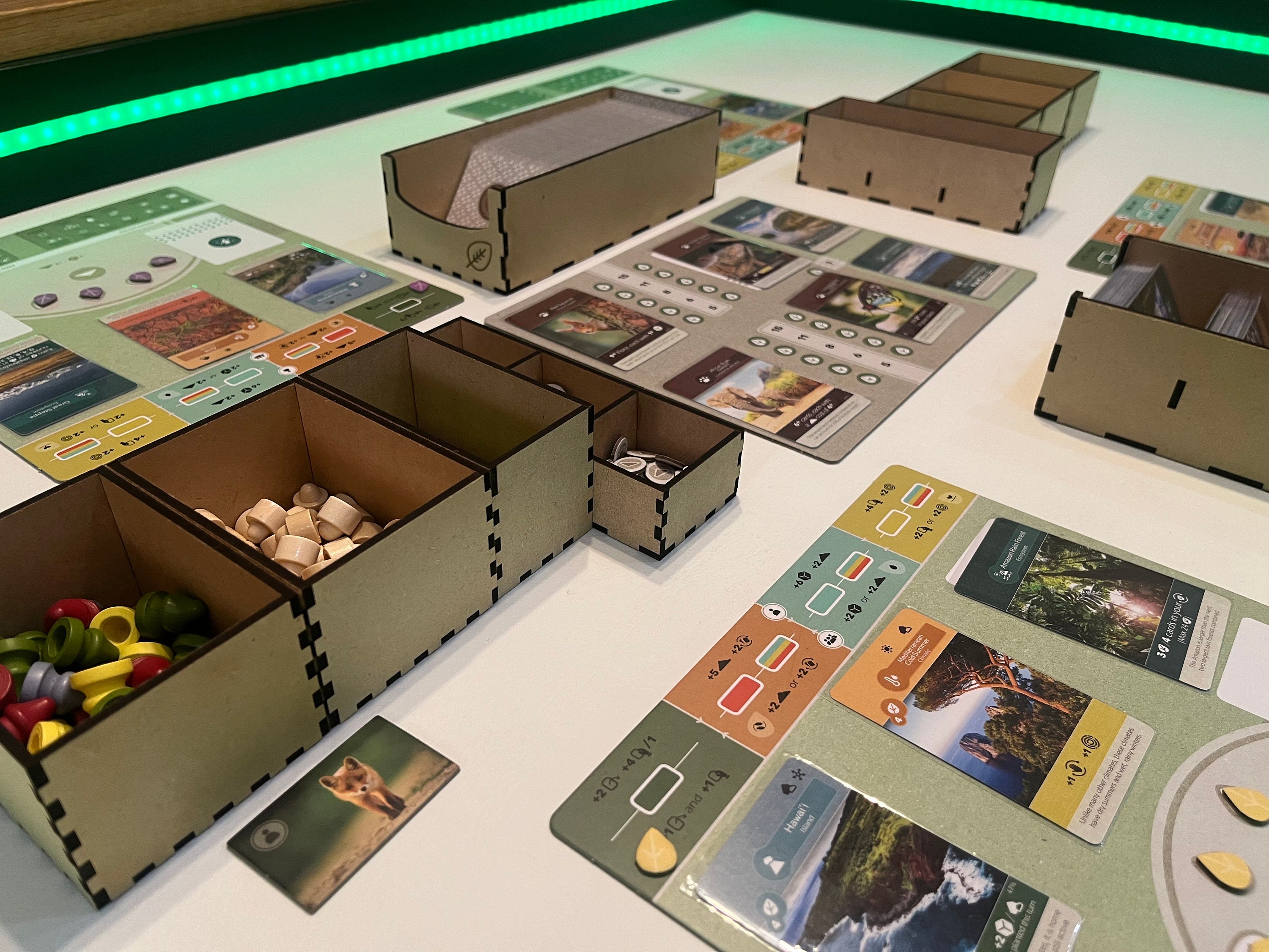 Earth Board Game Insert - Etsy