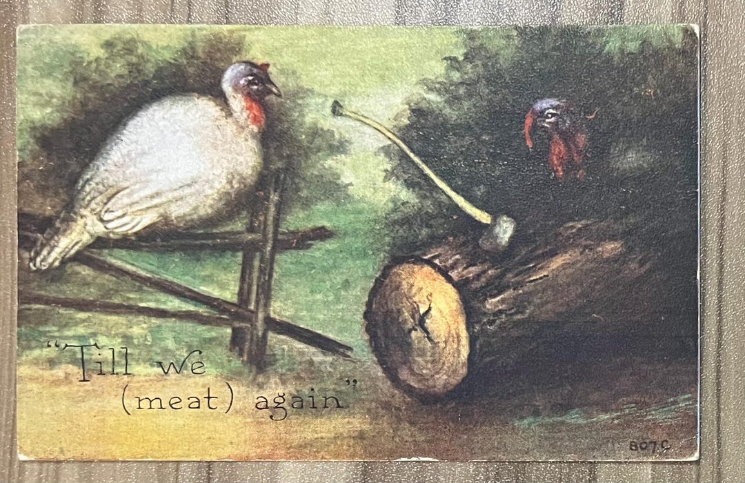 GC Rare Vintage 1912 Thanksgiving Postcard Funny Joke Turkeys Next to ...