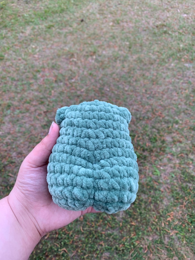 Custom Crochet Cheeky Frog Plush - Etsy