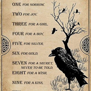 Counting Crows Poster Home Decor Wall Decor - Etsy